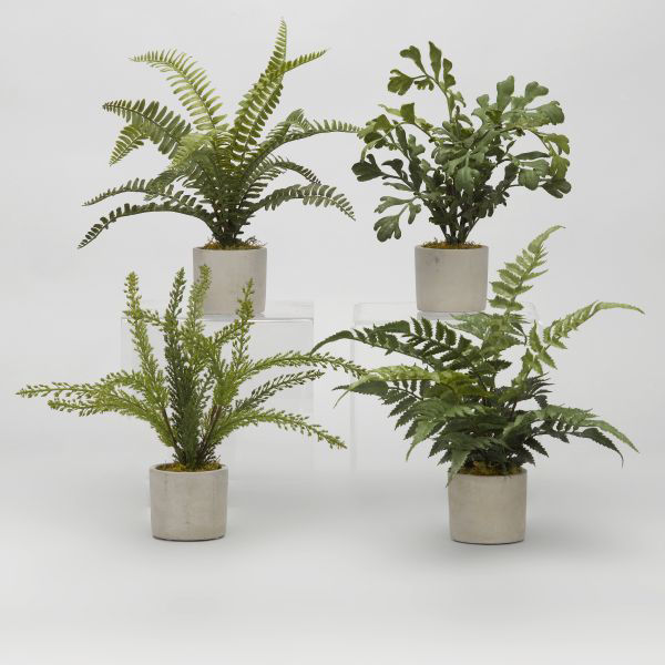 MINI FERN SET | Adcock Furniture & Design