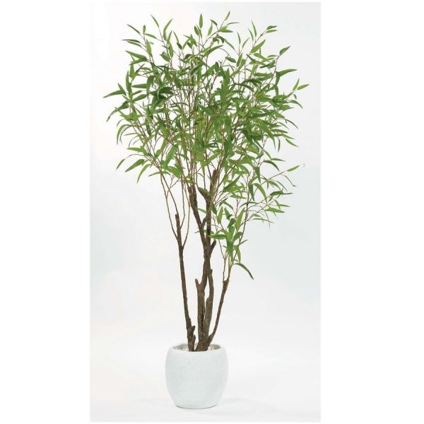 WISPY EUCALYPTUS TREE | Adcock Furniture & Design